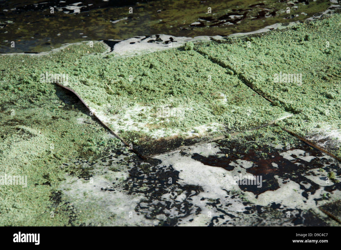 Diesel spill hi-res stock photography and images - Alamy