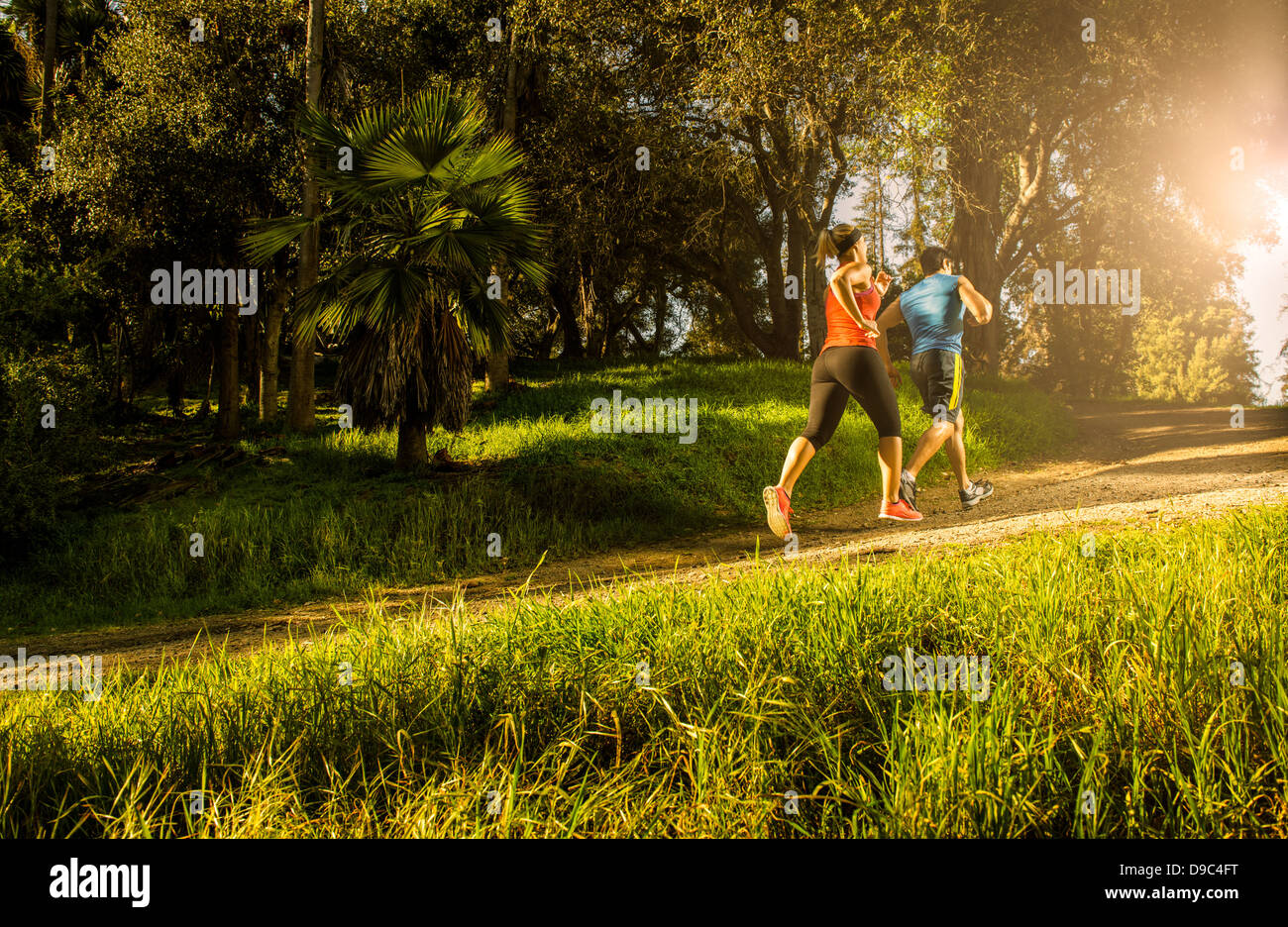 Two people jogging on forest path Stock Photo - Alamy