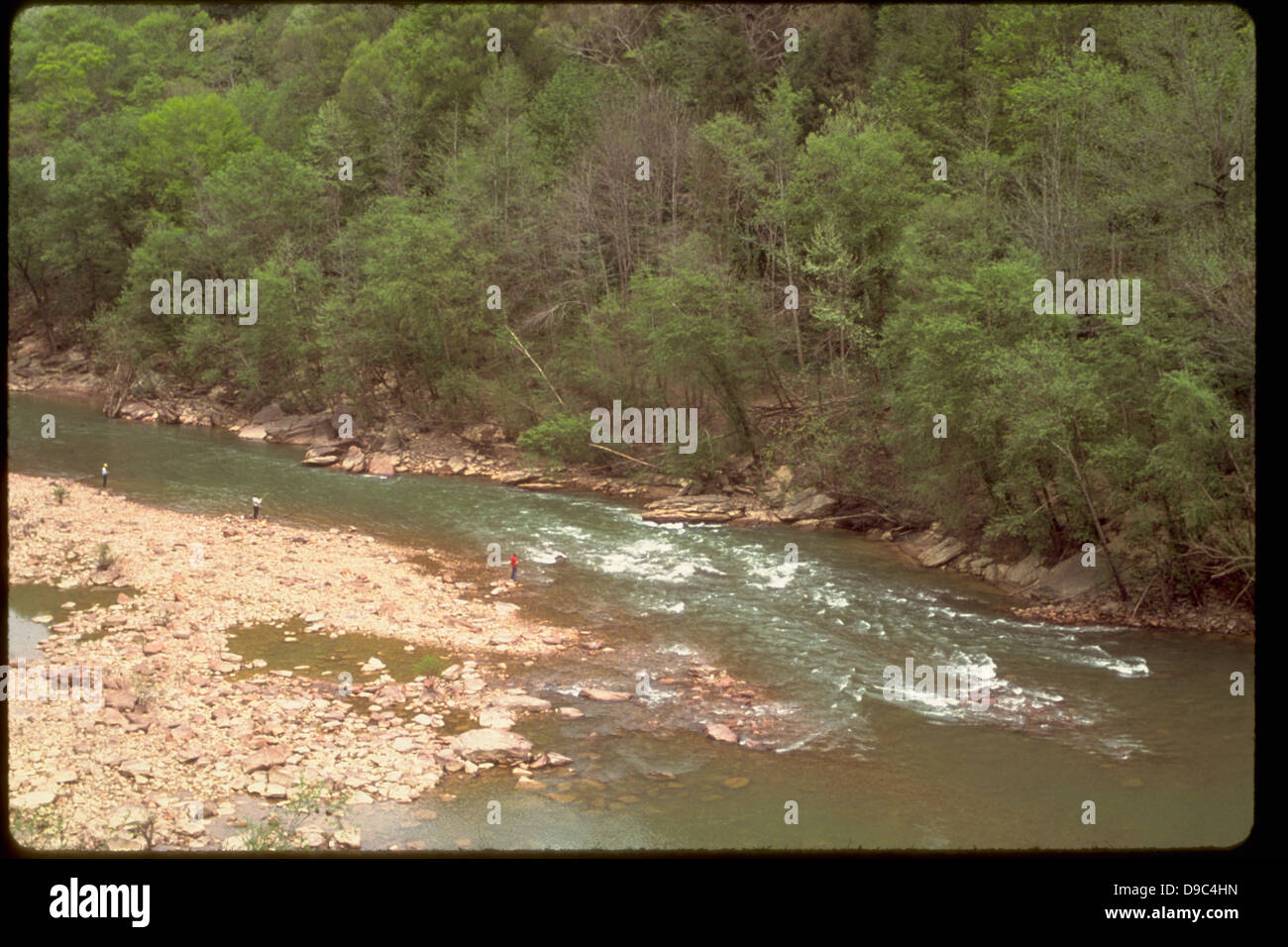 Obed national scenic river hi-res stock photography and images - Alamy