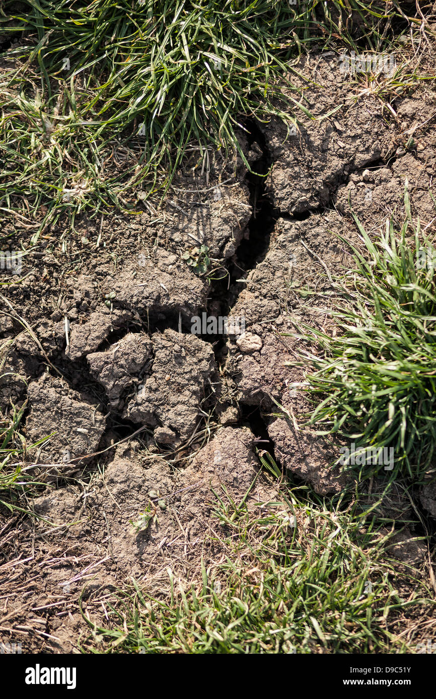 Close up earth cracked hi-res stock photography and images - Alamy