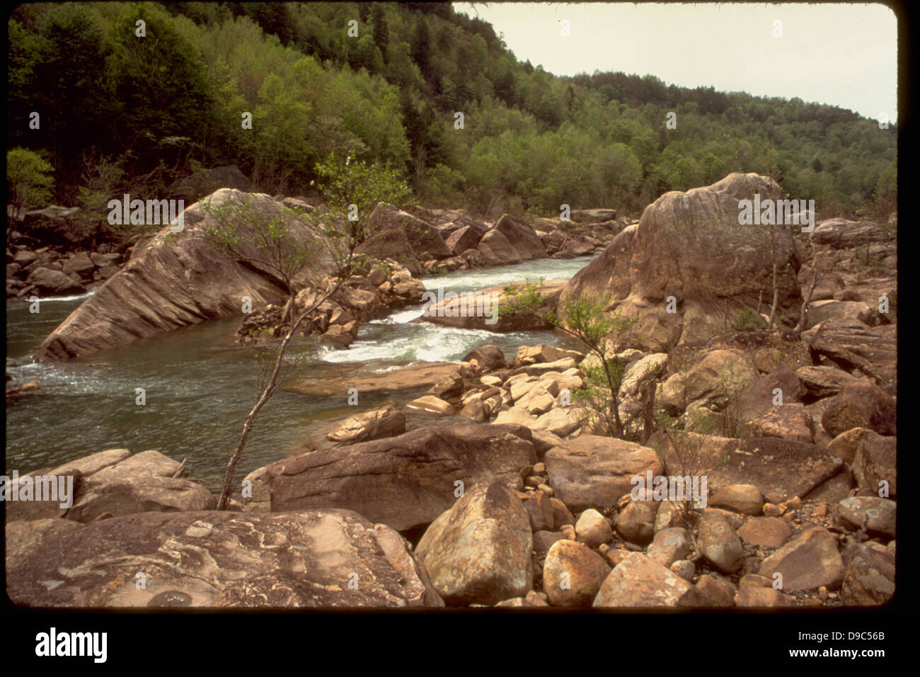 Obed wild and scenic river hi-res stock photography and images - Alamy