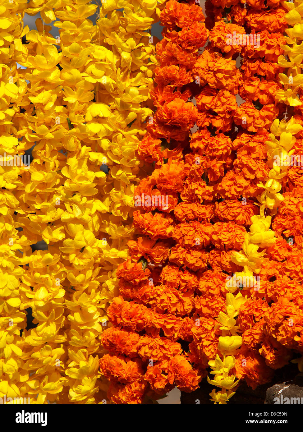floral arrangement for holi festival and religious offerings in india ...