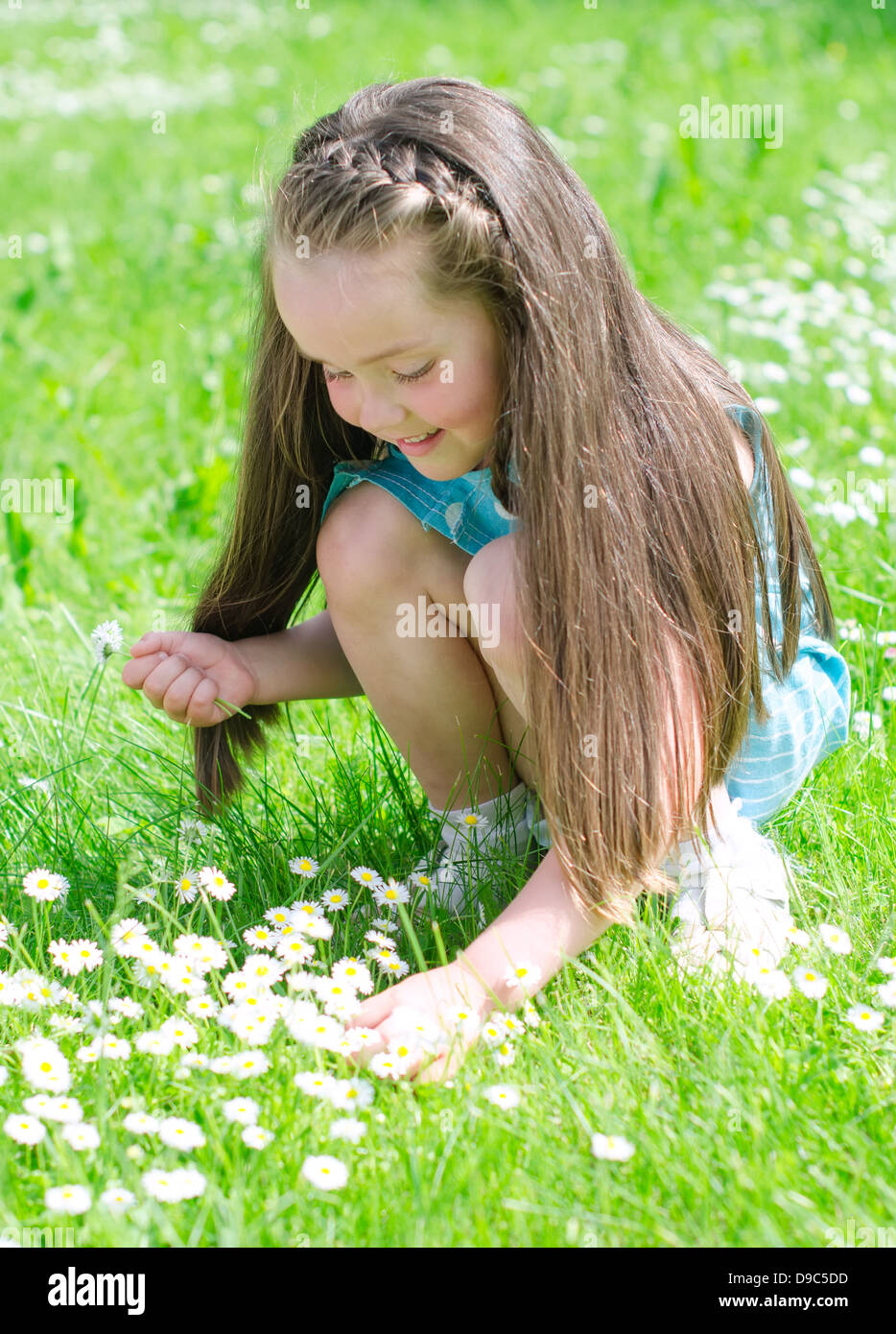 Little girl gathering flowers in summer park Stock Photo - Alamy