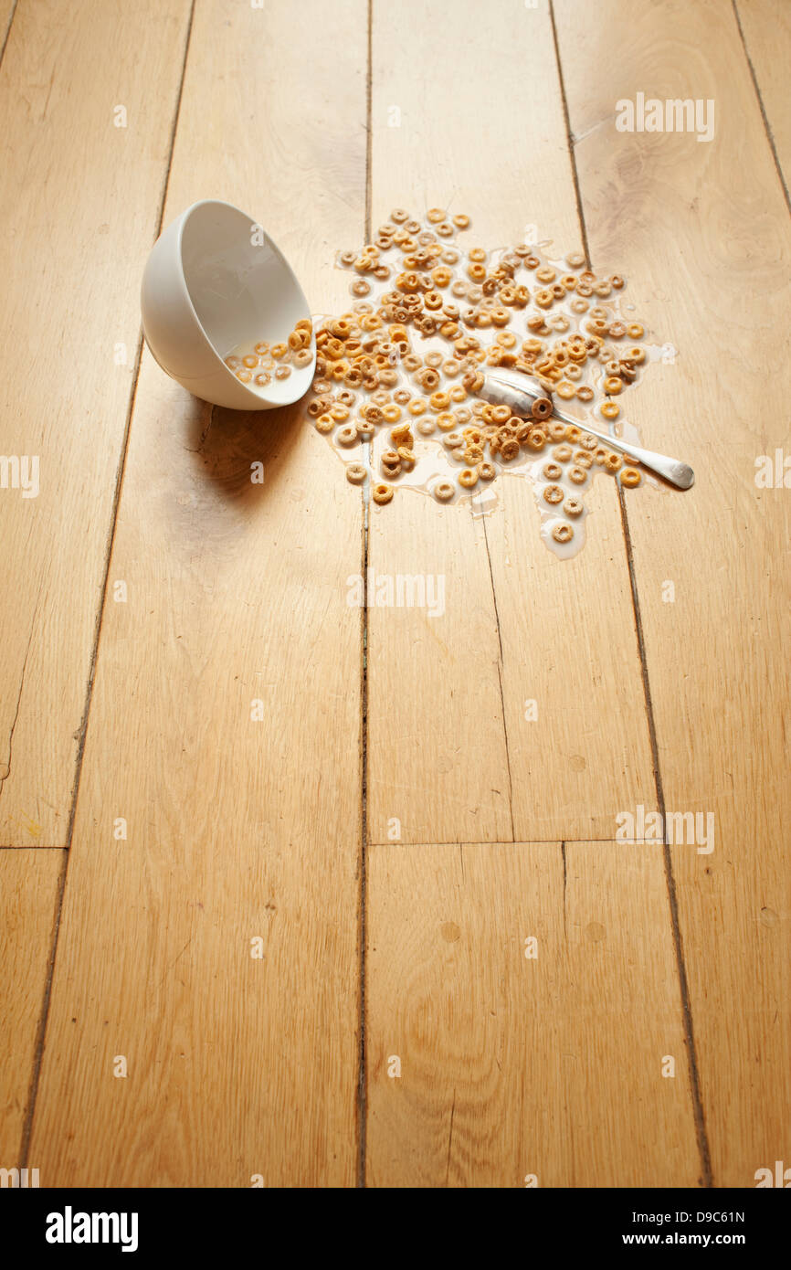 Bowl of cereal spilled on floor Stock Photo - Alamy