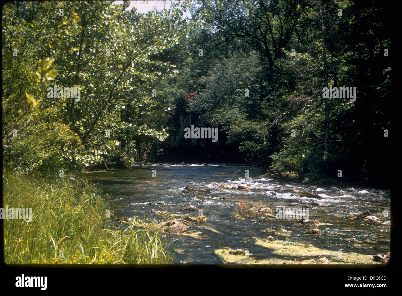 Ozark National Scenic Riverways OZAR2079 Stock Photo - Alamy