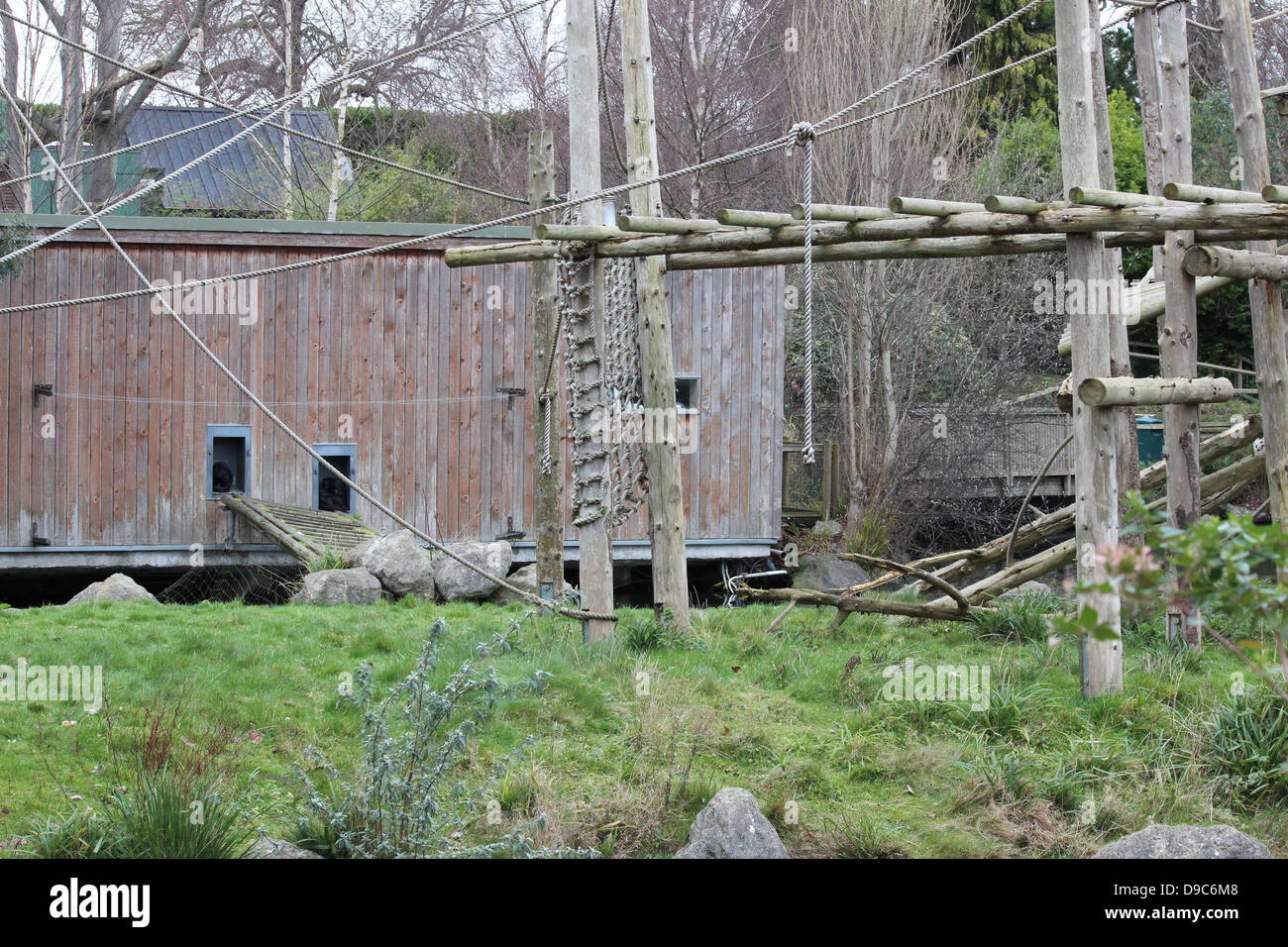 Pictured is an enclosure of Grizzled Spider Monkeys in Dublin Zoo ...