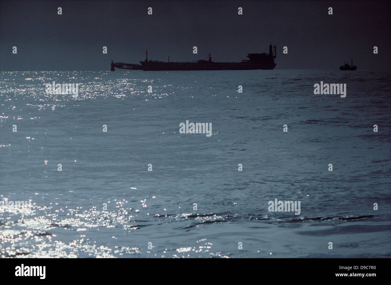 Fulmar Oil High Resolution Stock Photography and Images - Alamy