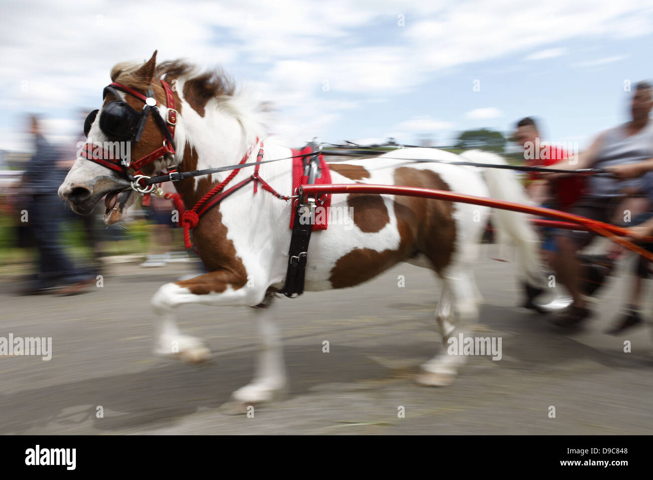 Romany gypsy wedding hi-res stock photography and images - Alamy