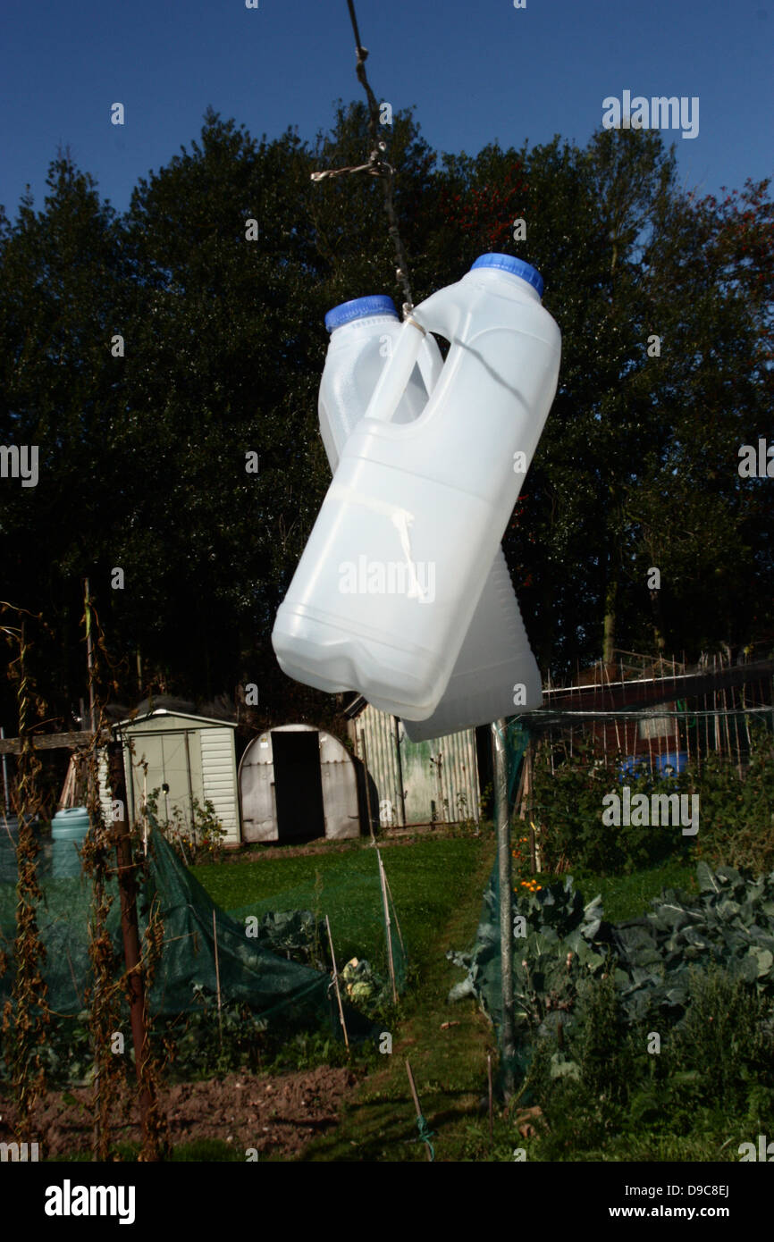 hanging milk bottles in a allotments Stock Photo - Alamy
