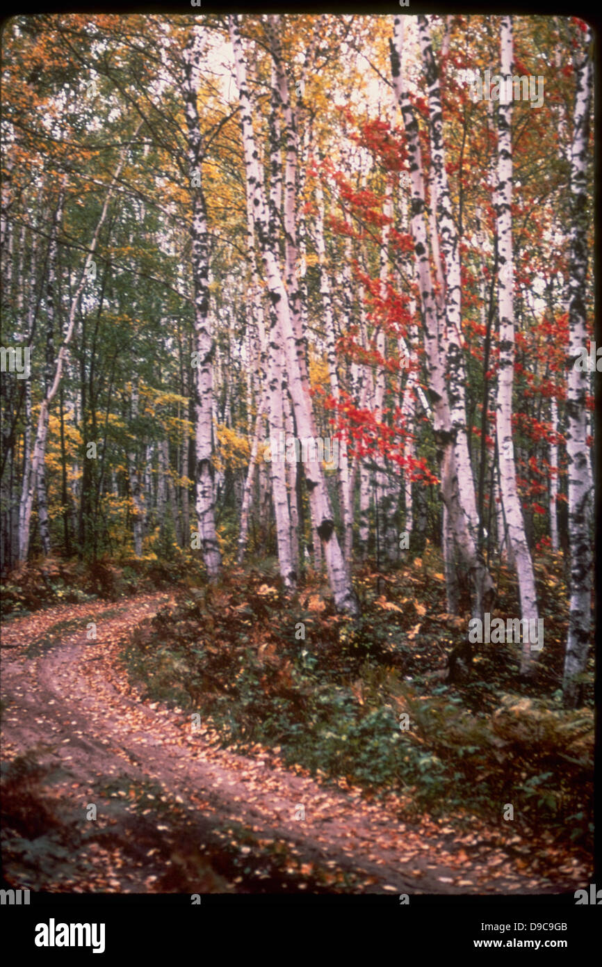 Pictured Rocks National Lakeshore in Michigan offers stunning natural ...