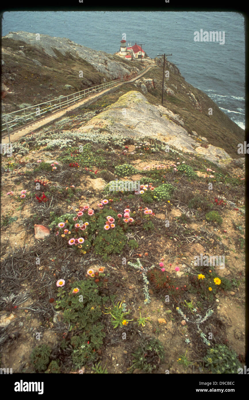 Point Reyes National Seashore, located in California, offers diverse ...