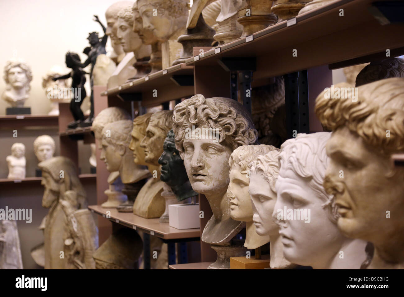 Plaster classic heads on shelves Stock Photo - Alamy
