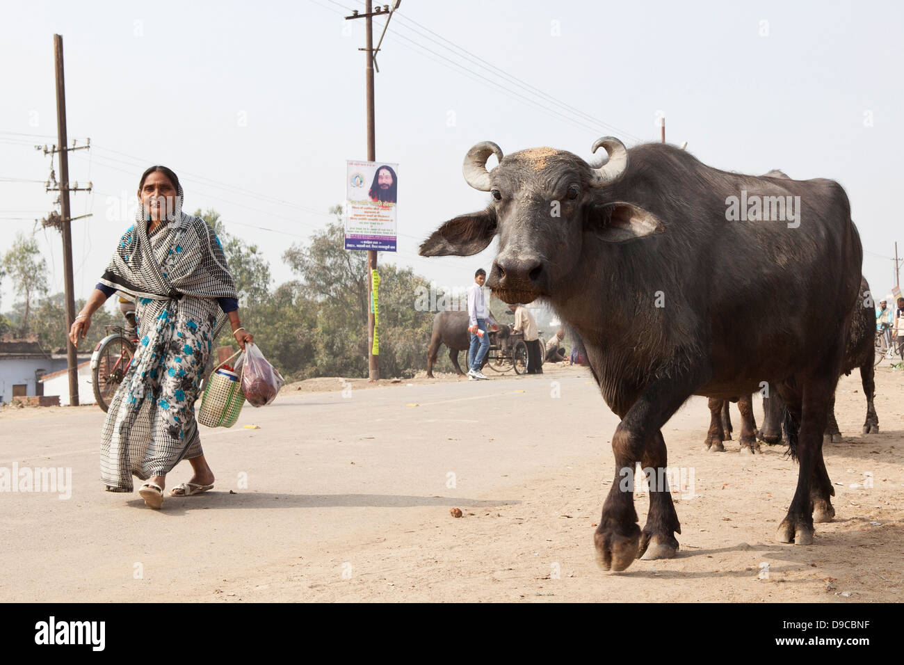 Rural life in india hi-res stock photography and images - Alamy