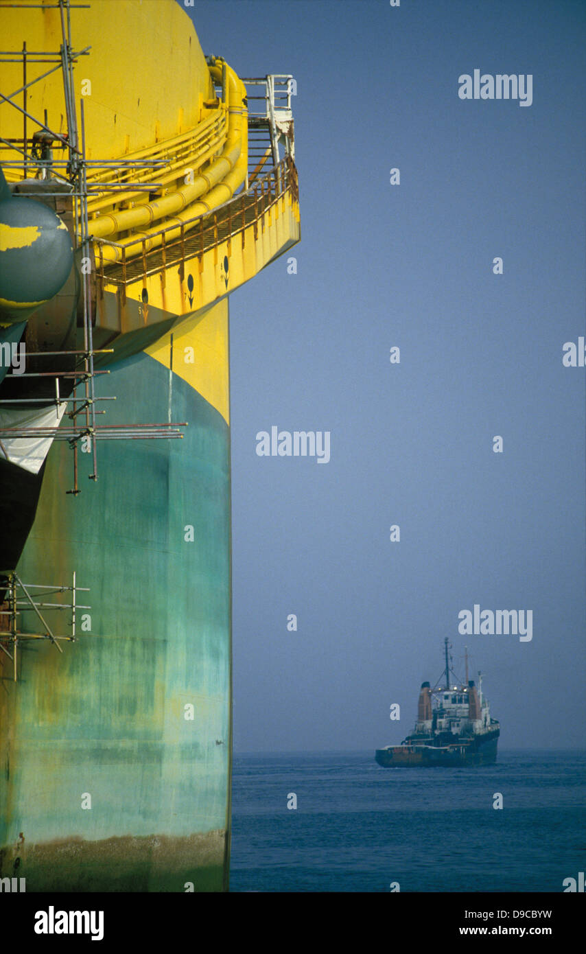 Fulmar Oil High Resolution Stock Photography and Images - Alamy