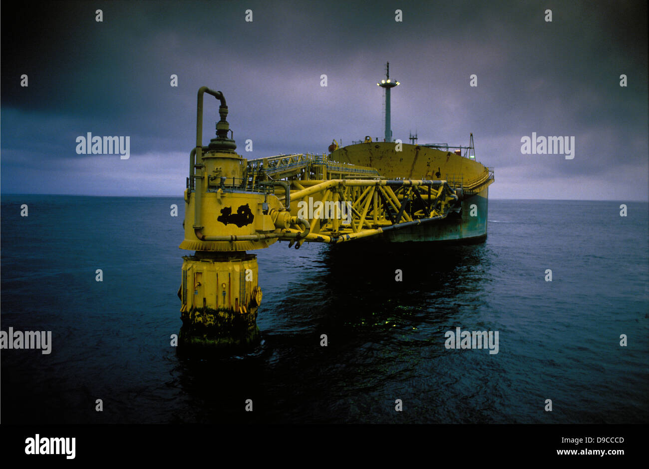 Fulmar oil hi-res stock photography and images - Alamy