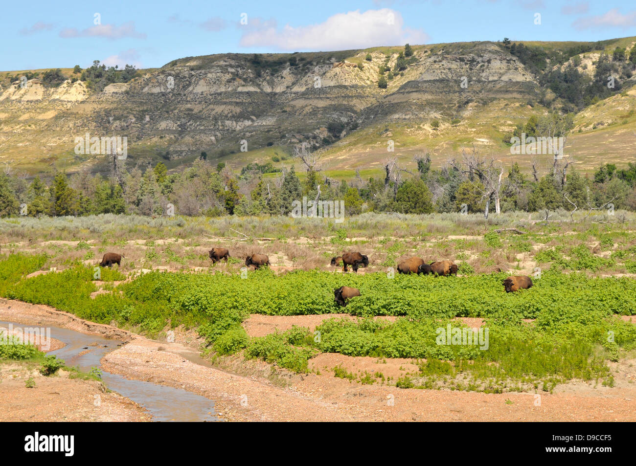 North dakota ecosystem hi-res stock photography and images - Alamy