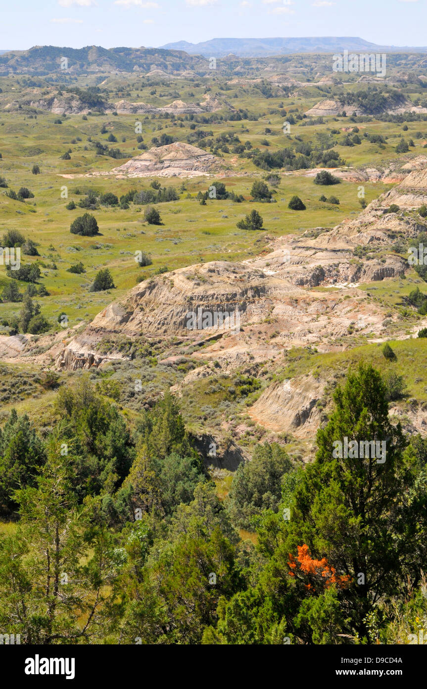 Theodore Roosevelt National Park North Dakota ND US Stock Photo - Alamy