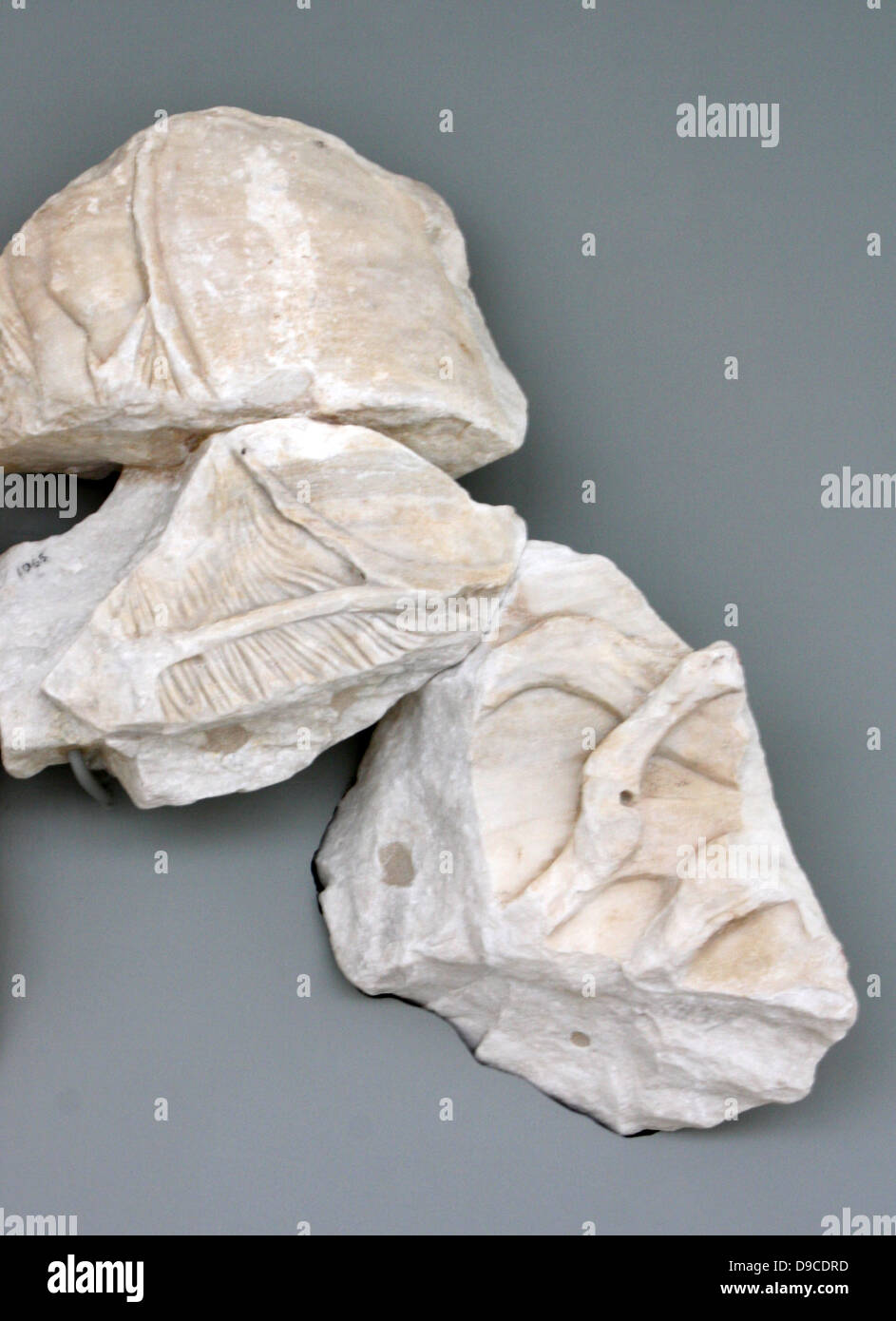 Galloping chariot horses.5th Century BC frieze from the Parthenon ...