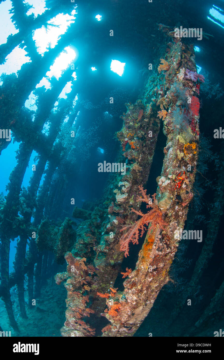 Interior of an old shipwreck underwater showing structure Stock Photo ...