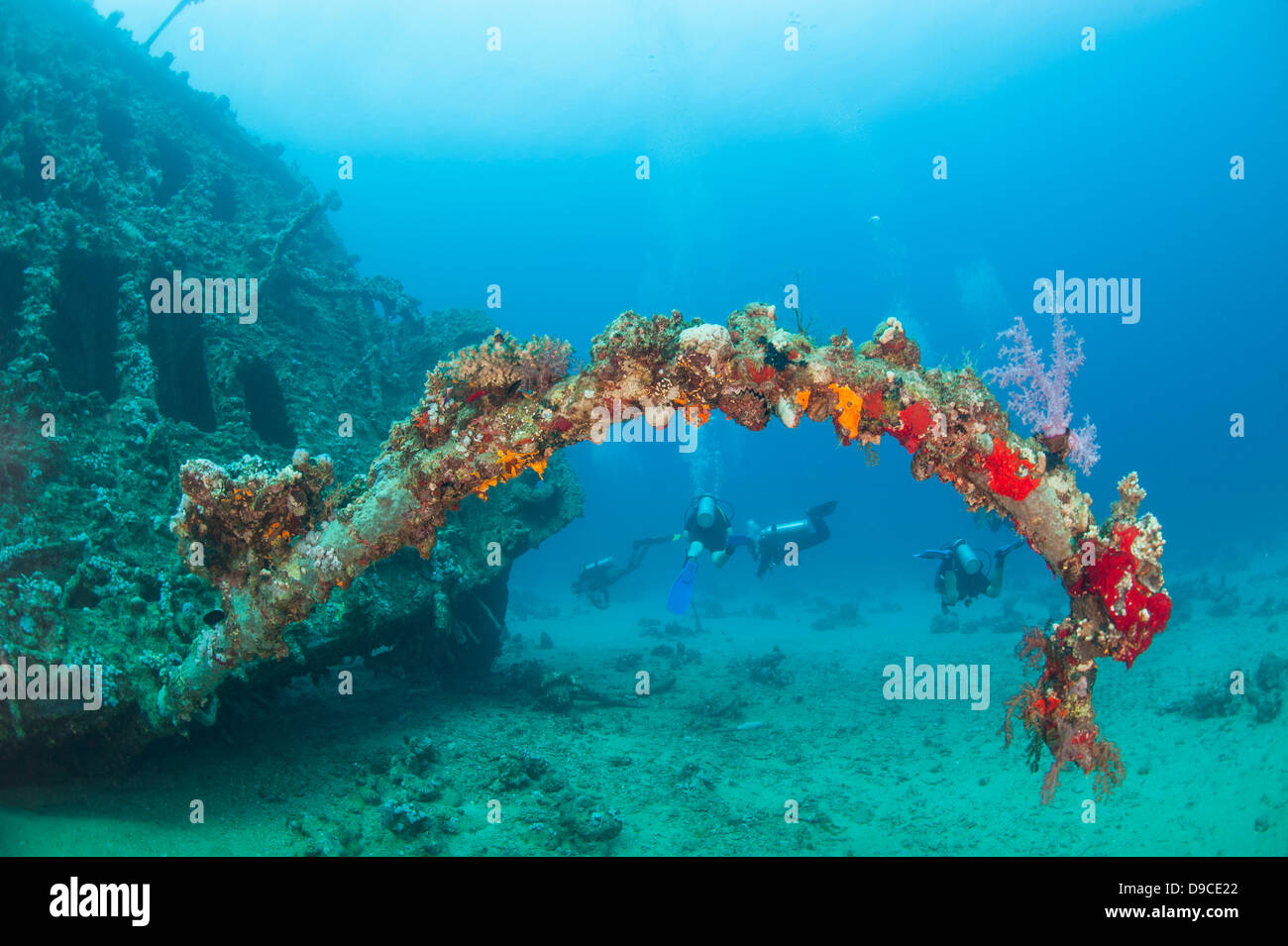 Underwater shipwreck hi-res stock photography and images - Alamy