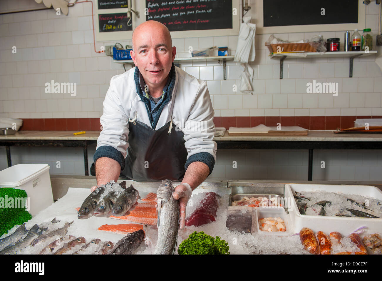 Fishmonger arranging fresh fish for sale Stock Photo - Alamy