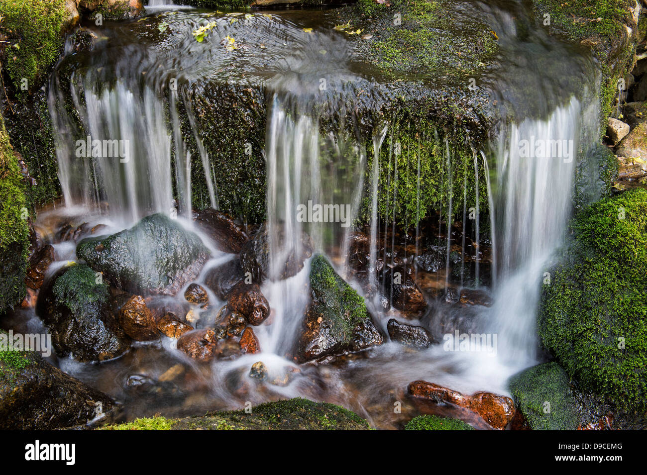 Venford brook. Water and rocks. Dartmoor, Devon, England Stock Photo ...