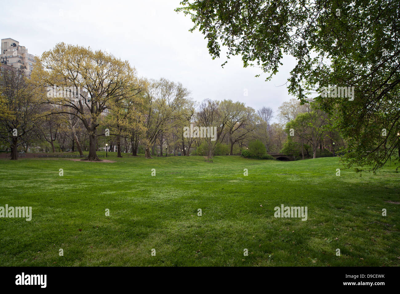 The city of cedar park hi-res stock photography and images - Alamy