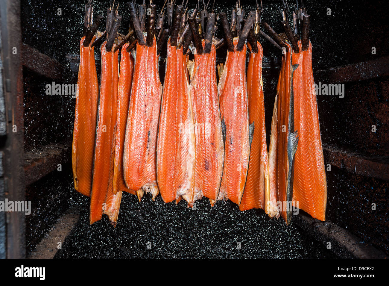 Traditional salmon smoking in smokehouse Stock Photo - Alamy