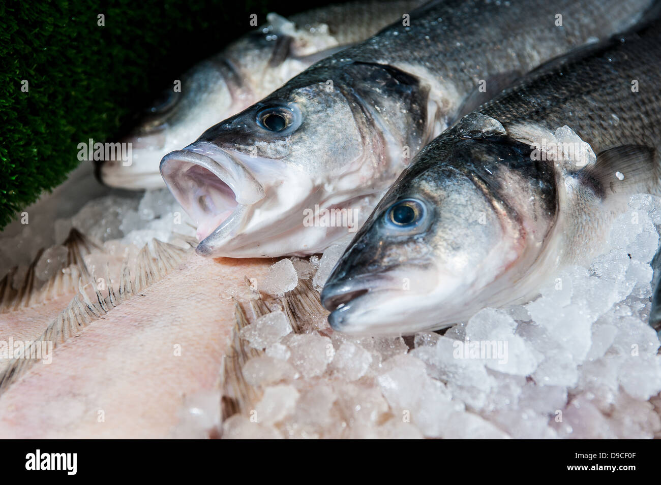 Fish seafood stall market hi-res stock photography and images - Alamy