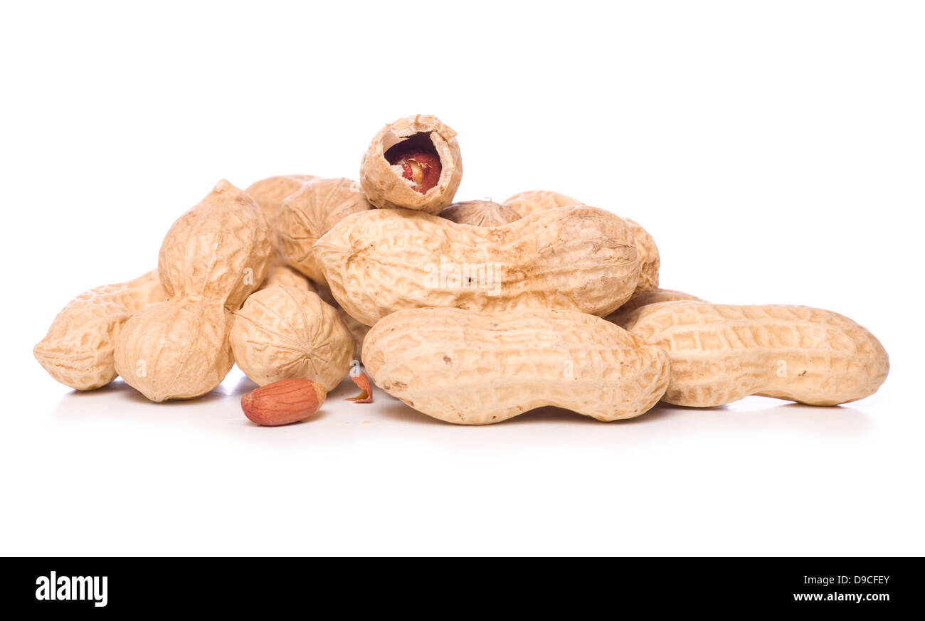 Monkey eating nuts hi-res stock photography and images - Alamy