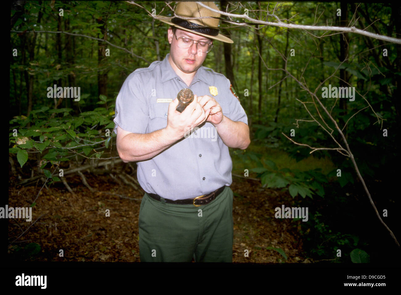 Prince William Forest Park in Virginia offers a peaceful retreat with its dense forests and ...