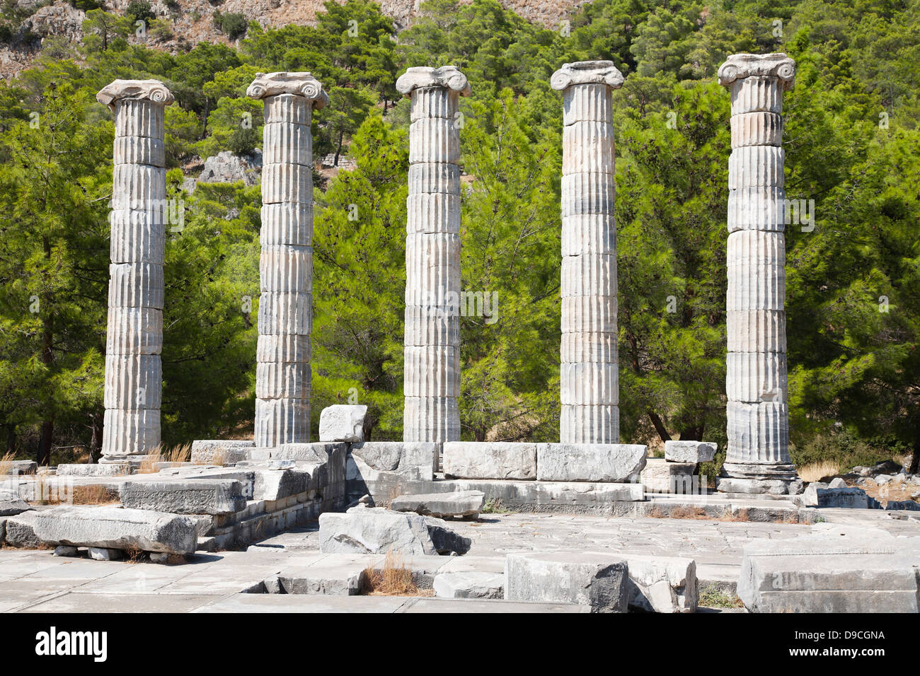 asia, turkey, southern aegean coast, priene, temple of athena ...