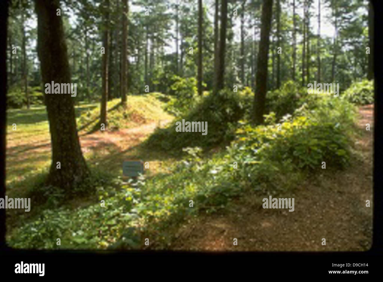 Richmond National Battlefield Park preserves the site of the Civil War ...
