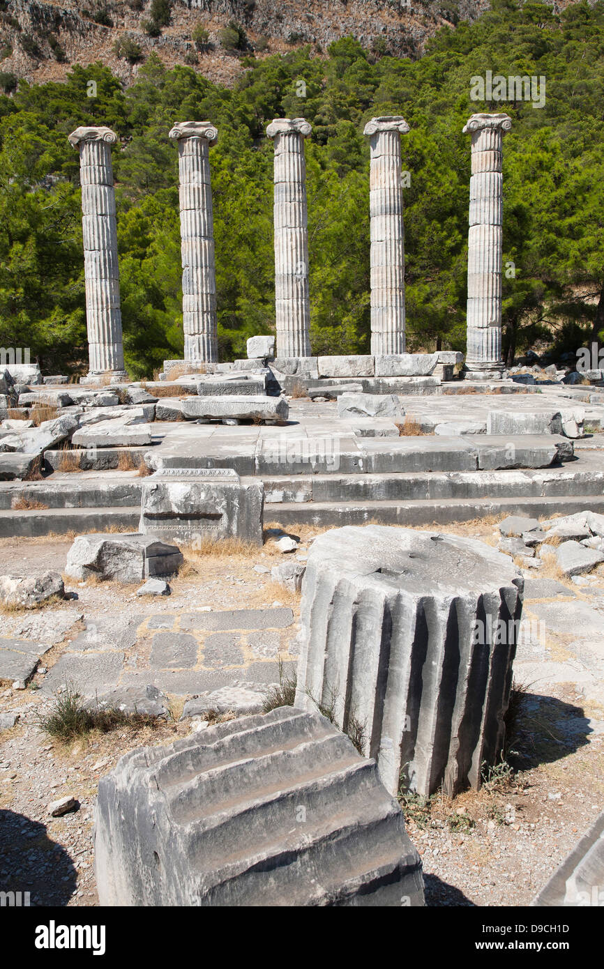 asia, turkey, southern aegean coast, priene, temple of athena ...