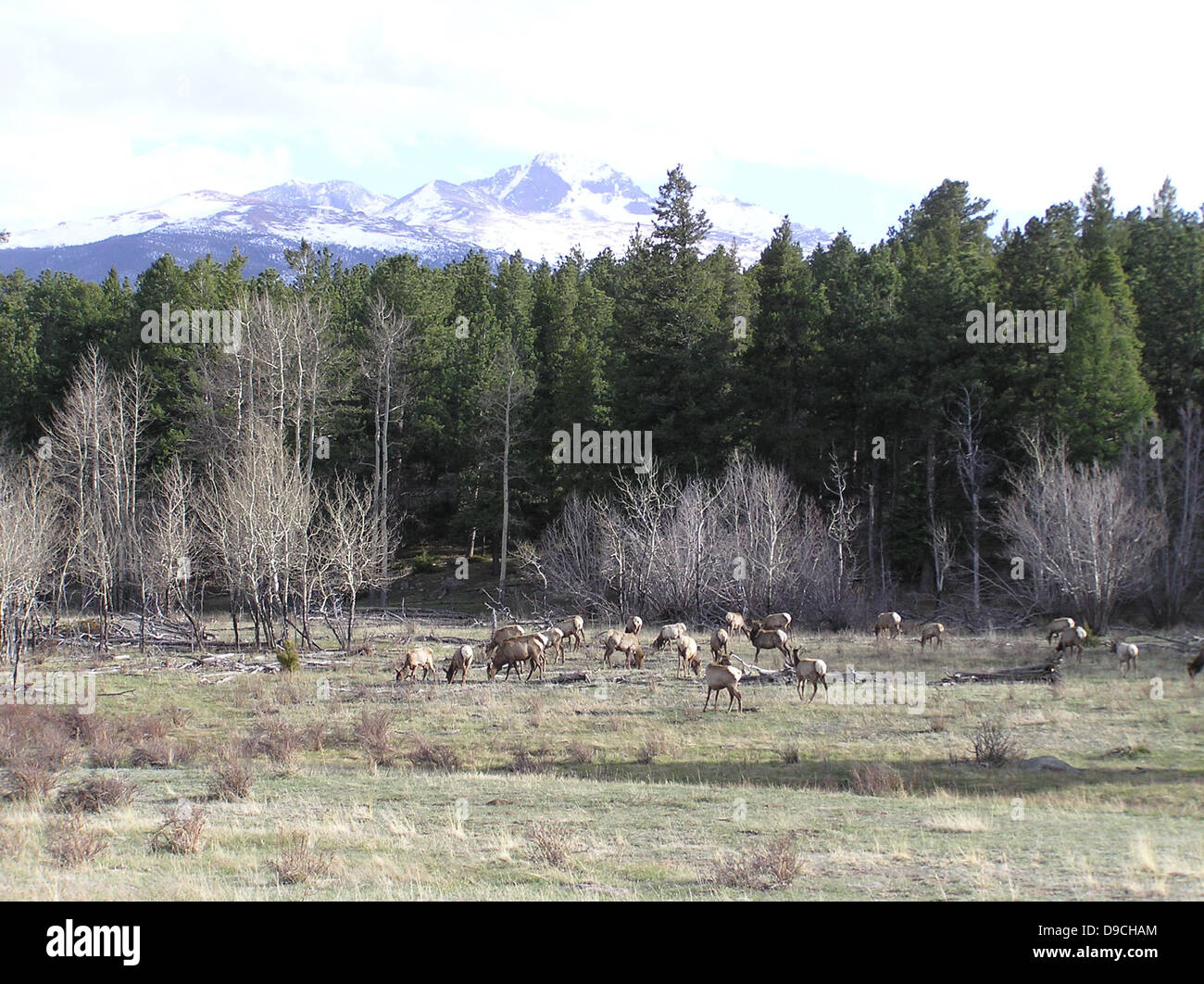 Rocky Mountain National Park, located in Colorado, features diverse ...