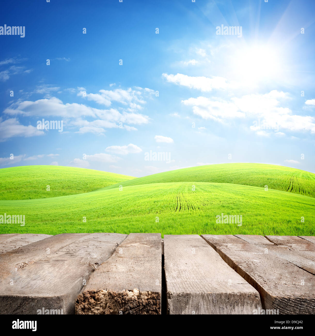 Table and field of fresh grass on a background of blue sky Stock Photo ...