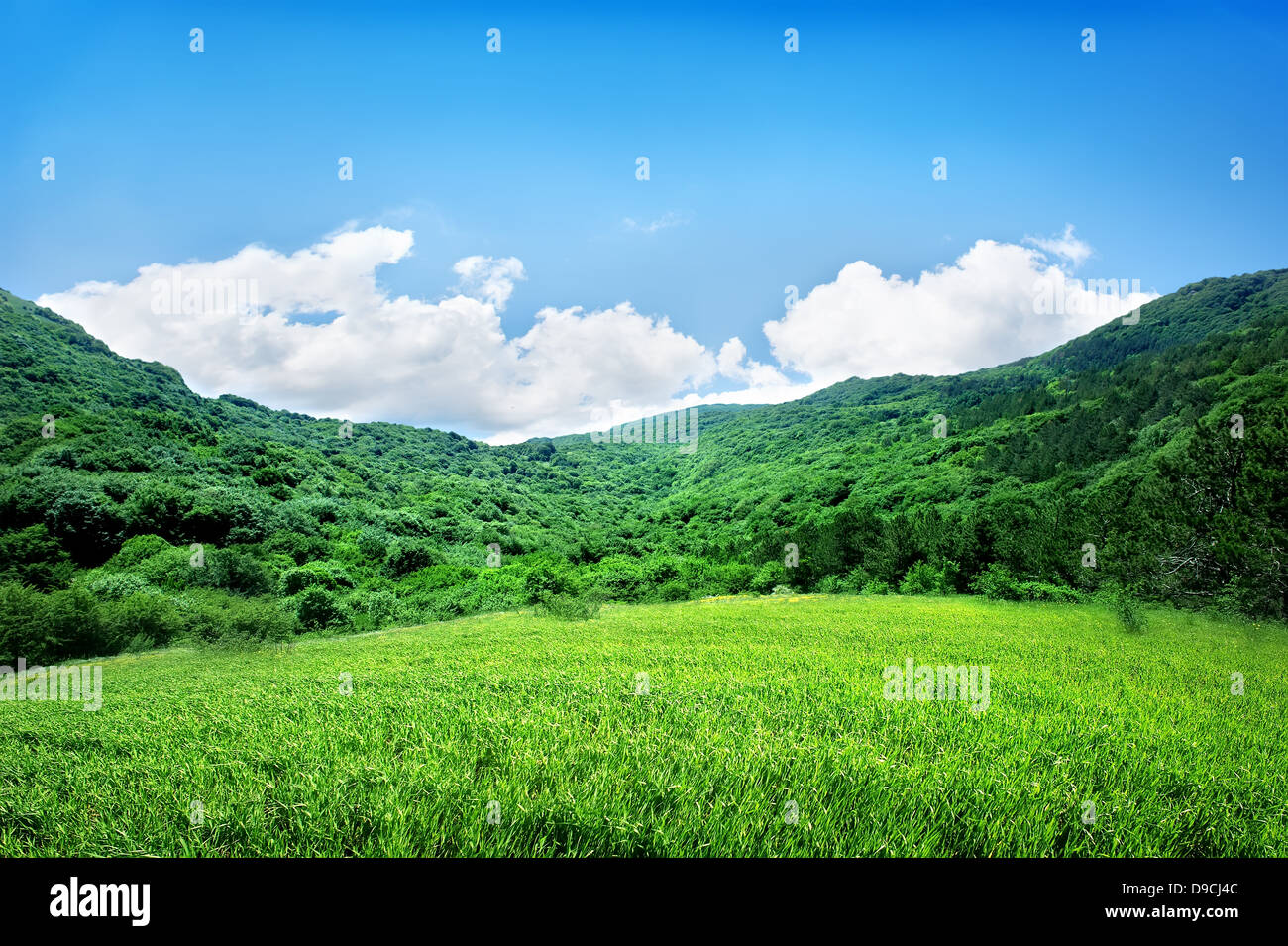 Blue grass field hi-res stock photography and images - Alamy