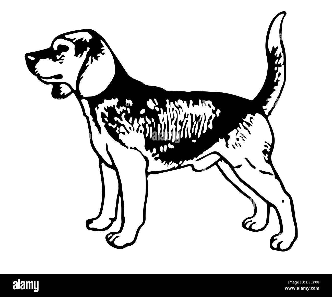 Smiling black white great Cut Out Stock Images & Pictures - Alamy