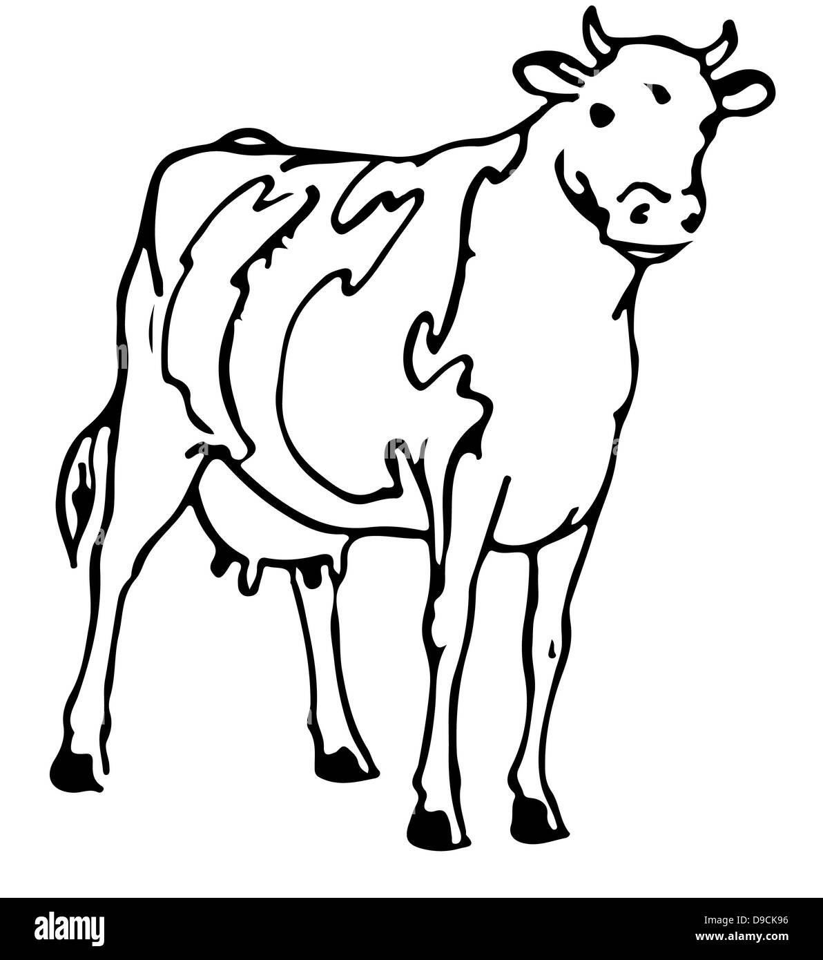 National stud Cut Out Stock Images & Pictures - Alamy