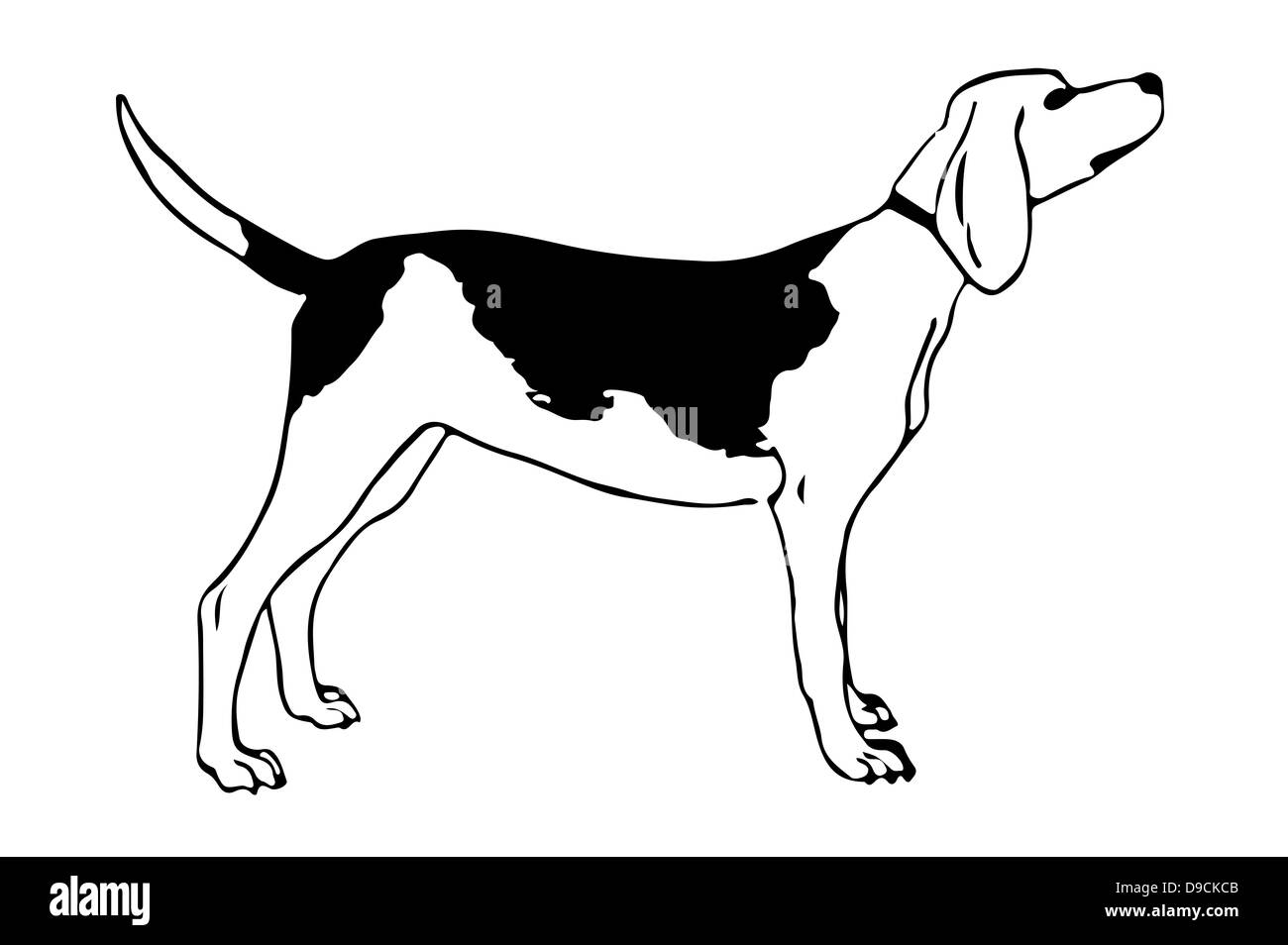 Smiling black white great Cut Out Stock Images & Pictures - Alamy