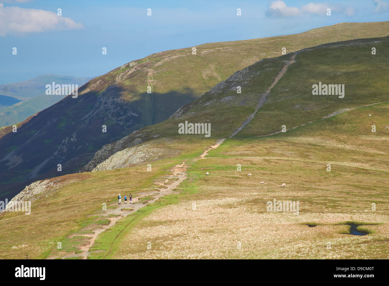 Littledale hi-res stock photography and images - Alamy