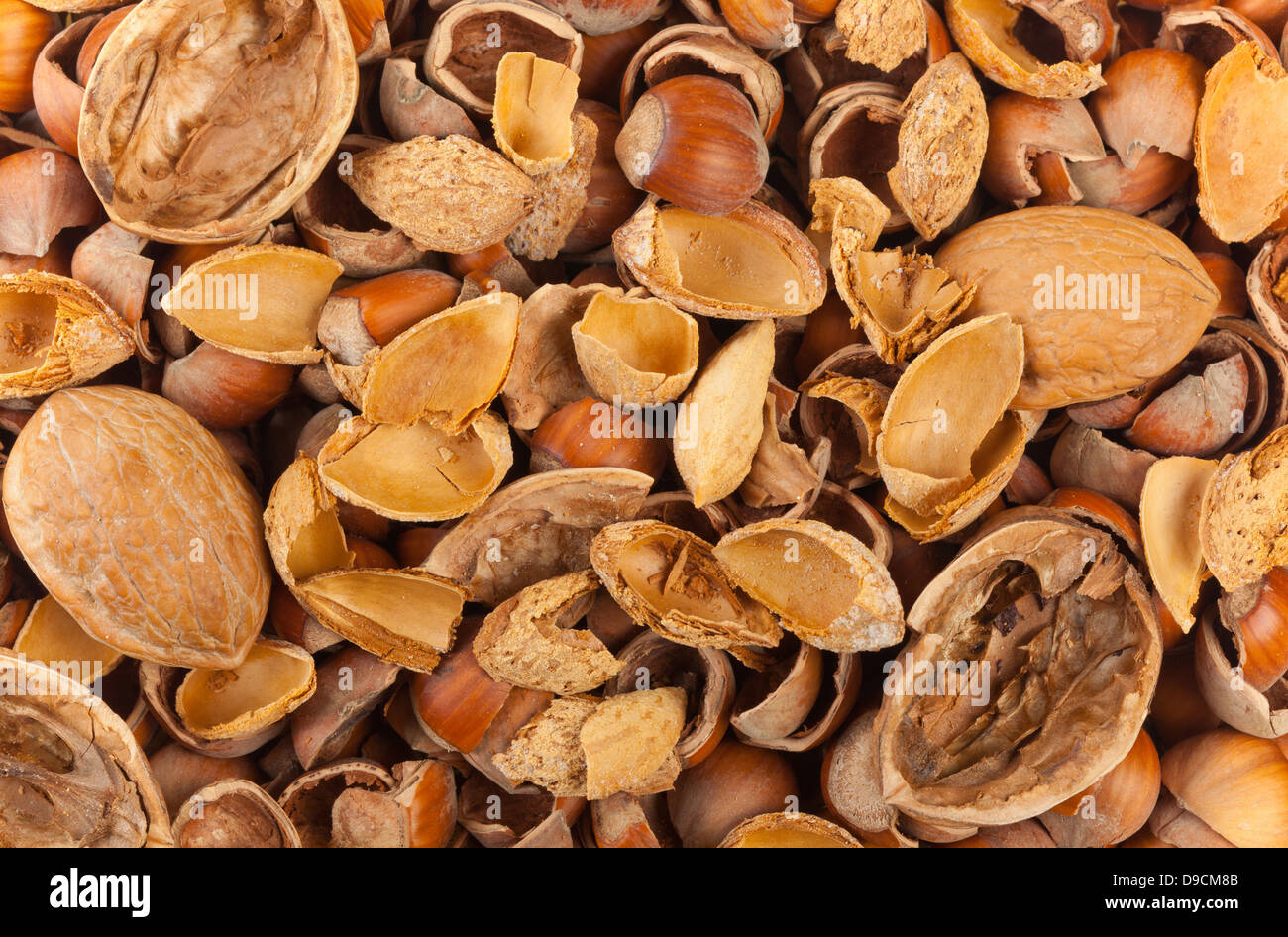 Empty shells of walnuts hazelnuts almonds for combustion Stock Photo ...