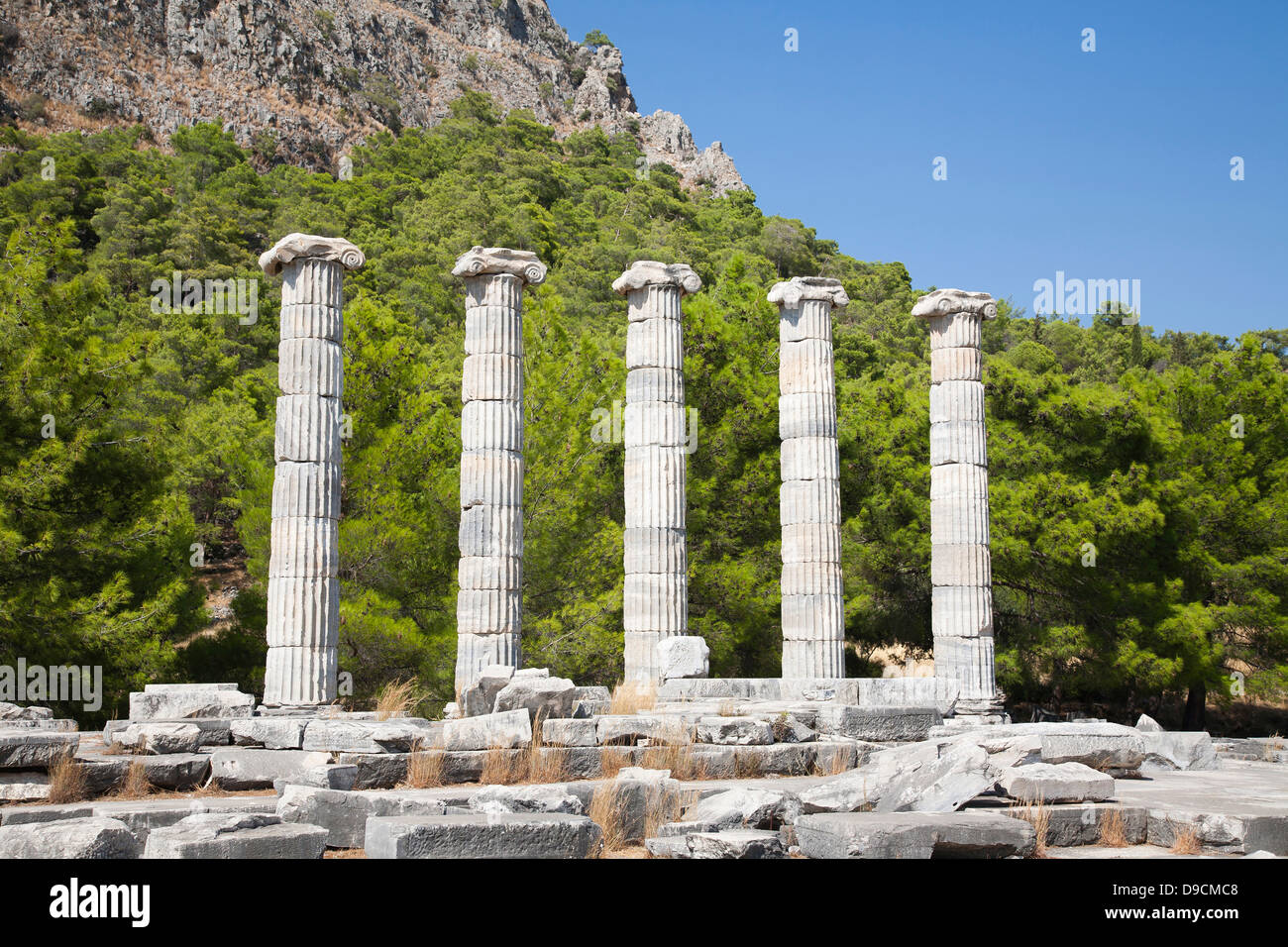 Section of temple hi-res stock photography and images - Alamy