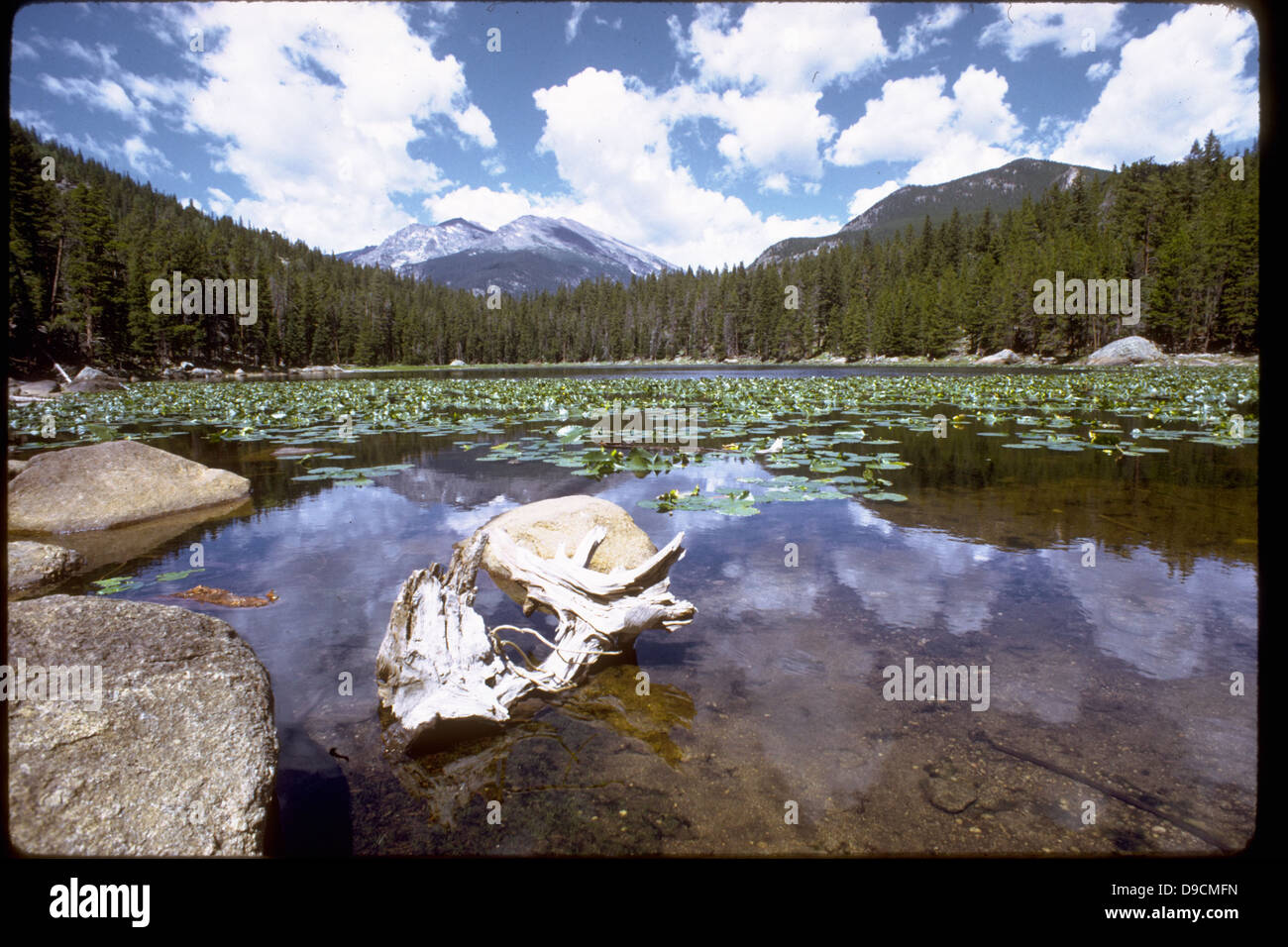 Rocky Mountain National Park in Colorado is known for its diverse ...