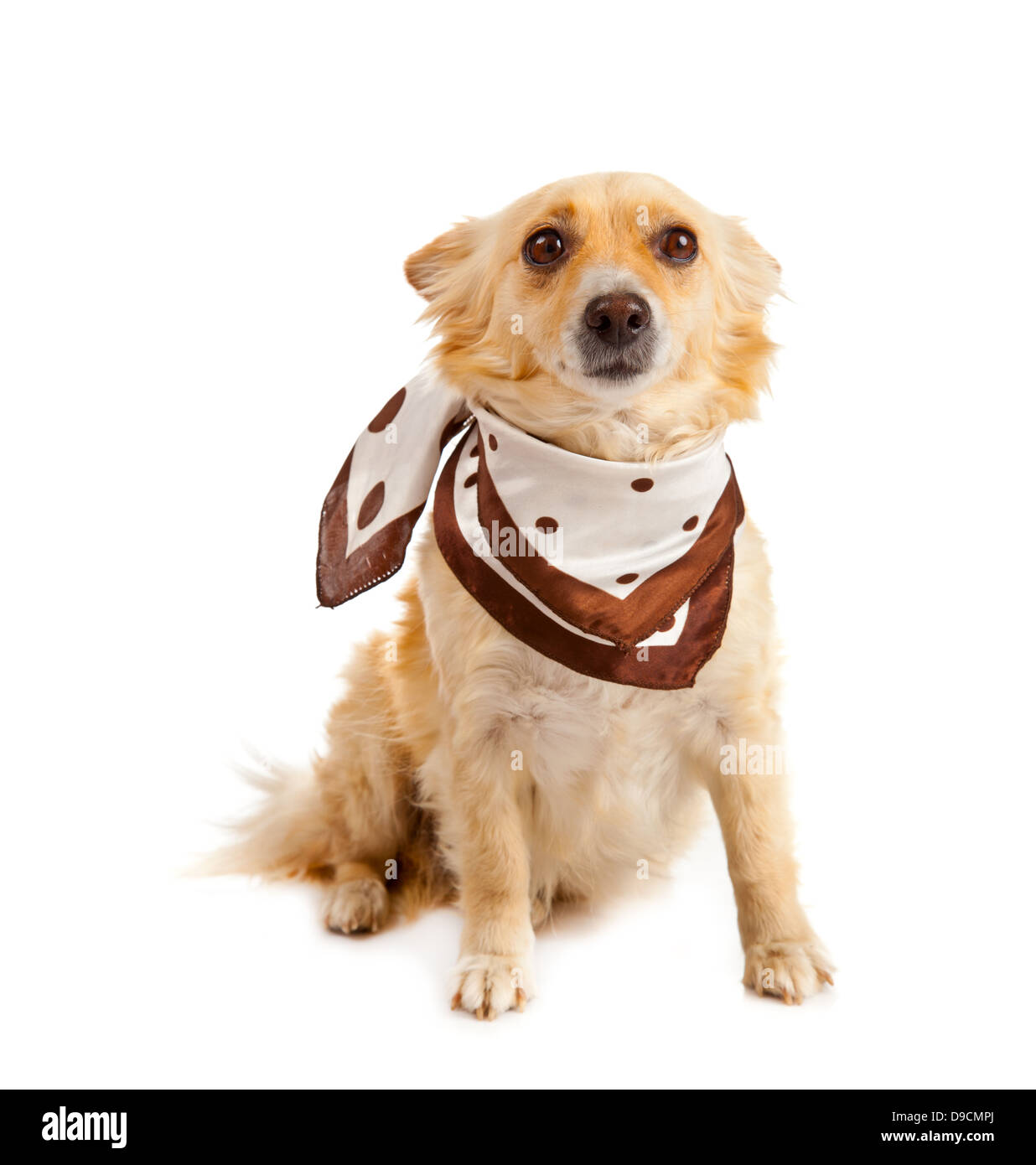 Bandana neckerchief Cut Out Stock Images & Pictures - Alamy