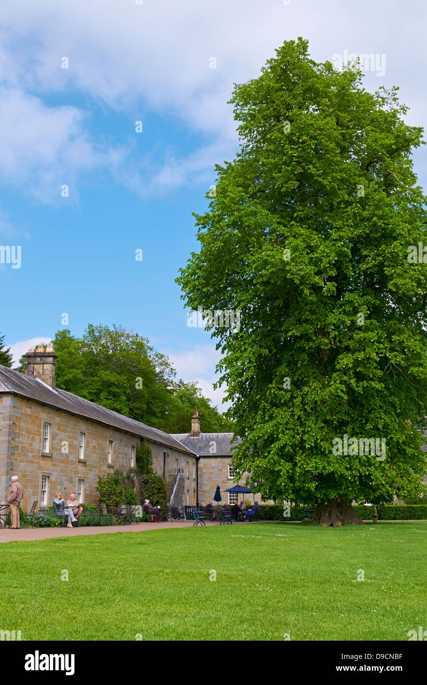 Tourists at Wallington Hall in Northumberland. National Trust property ...