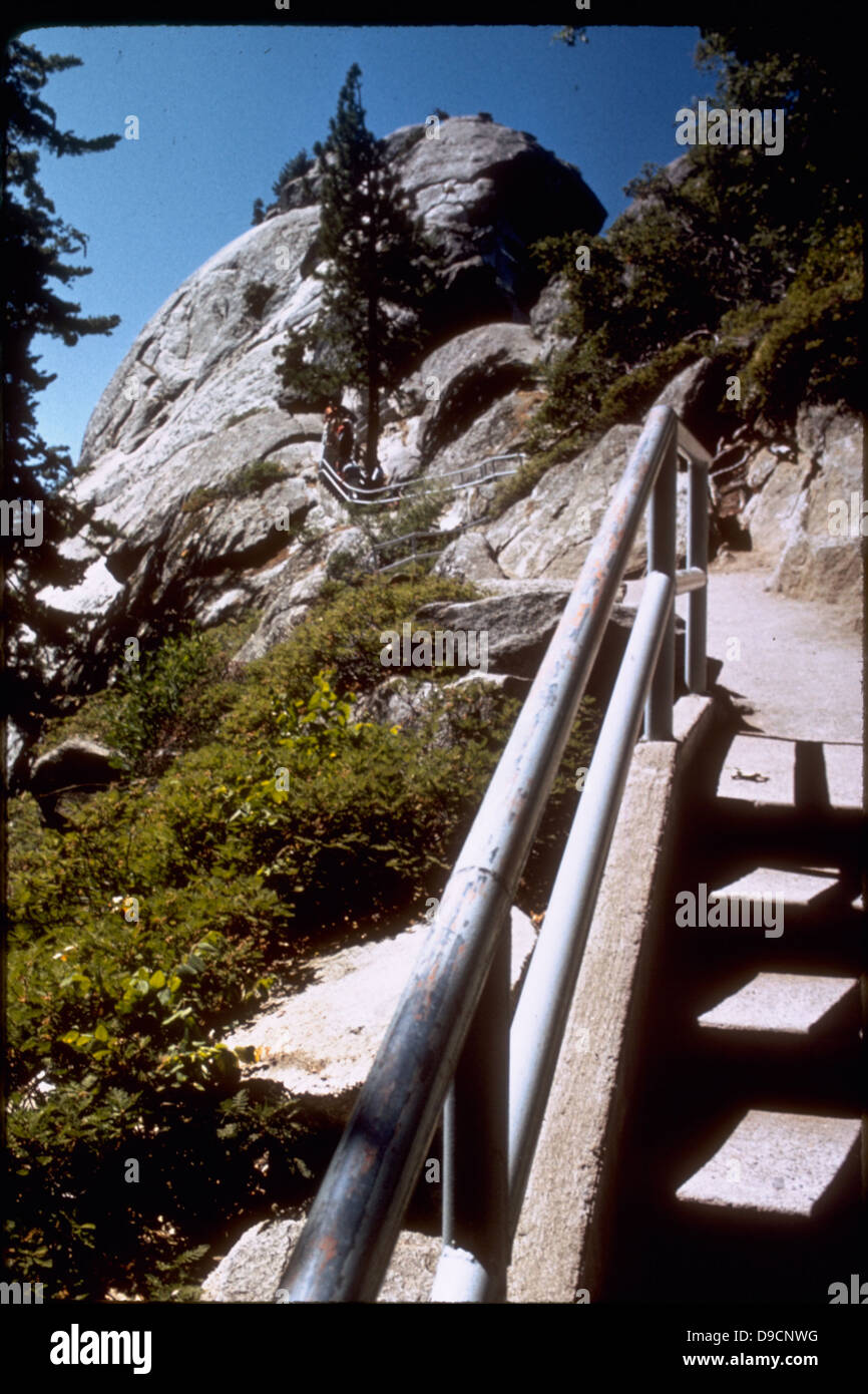 Sequoia and Kings Canyon National Parks in California are known for ...