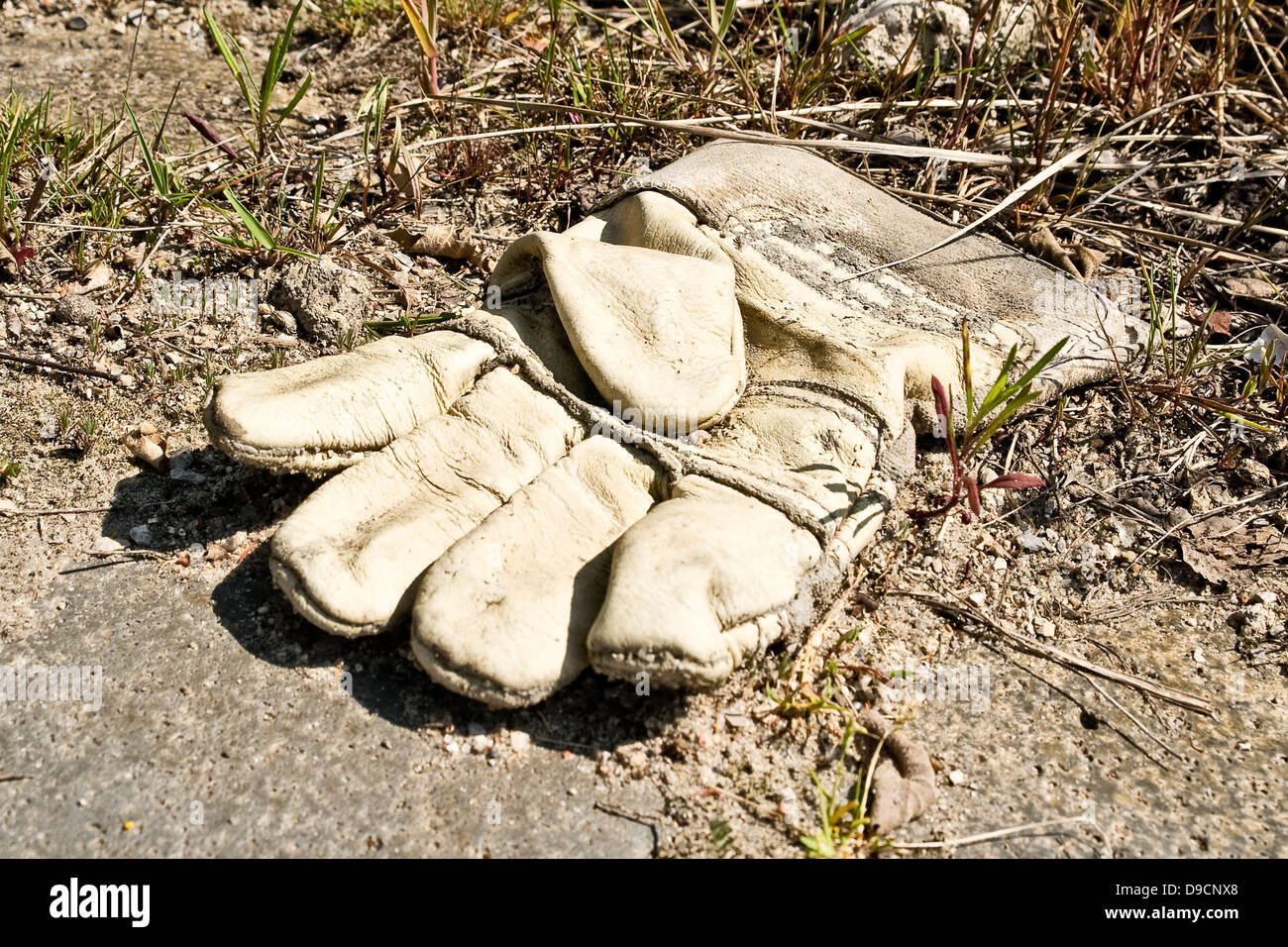 Thrown away working glove, Discarded work glove Stock Photo - Alamy Thrown away working glove, Discarded work glove Stock Photo - Alamy