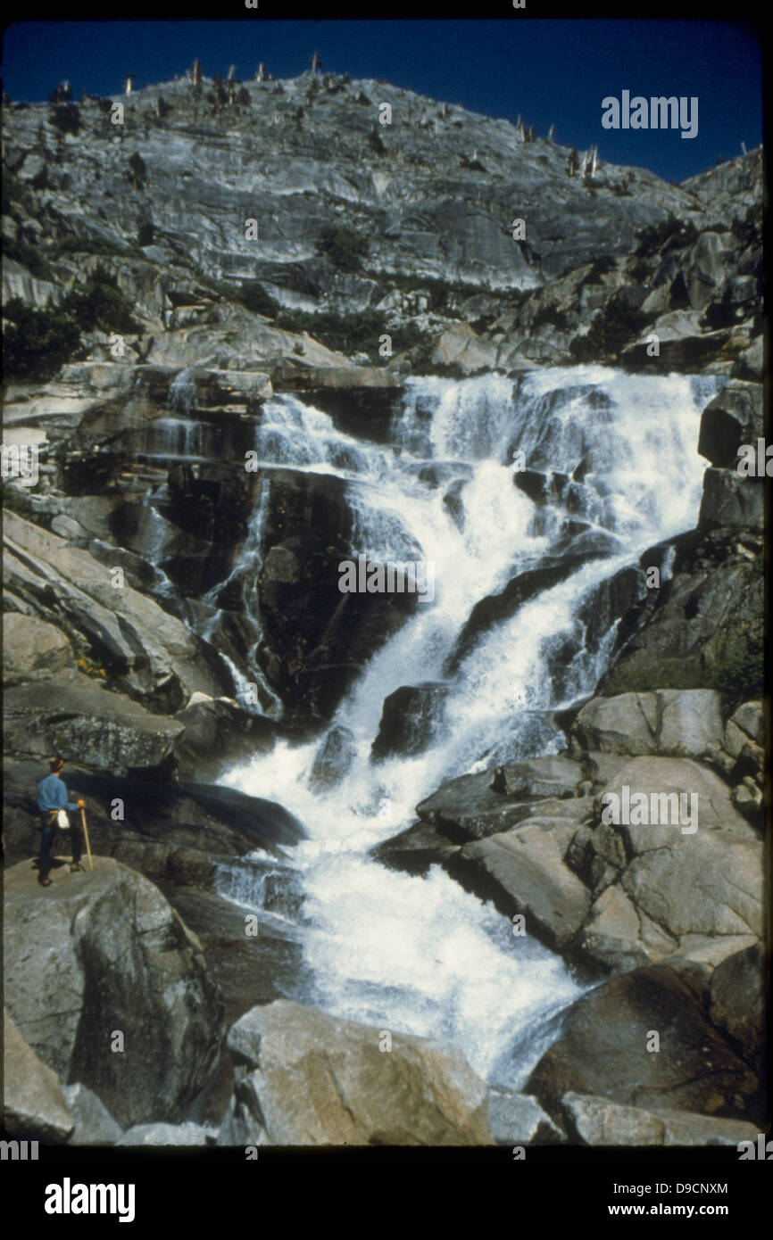 Integrity forest national park hi-res stock photography and images - Alamy
