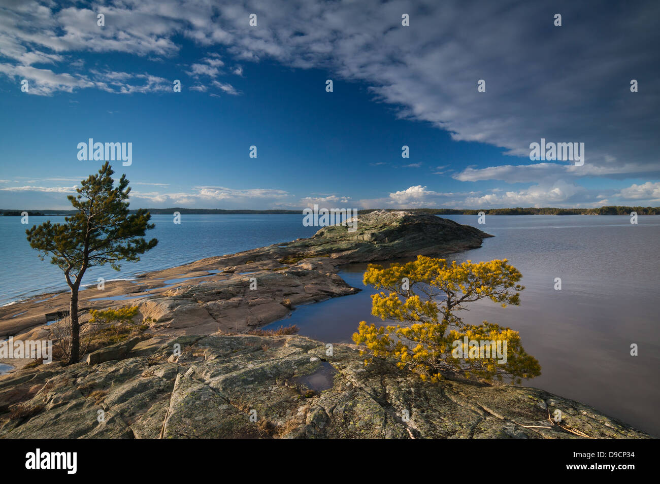 April evening on the island Brattholmen in the lake in Østfold, Norway ...